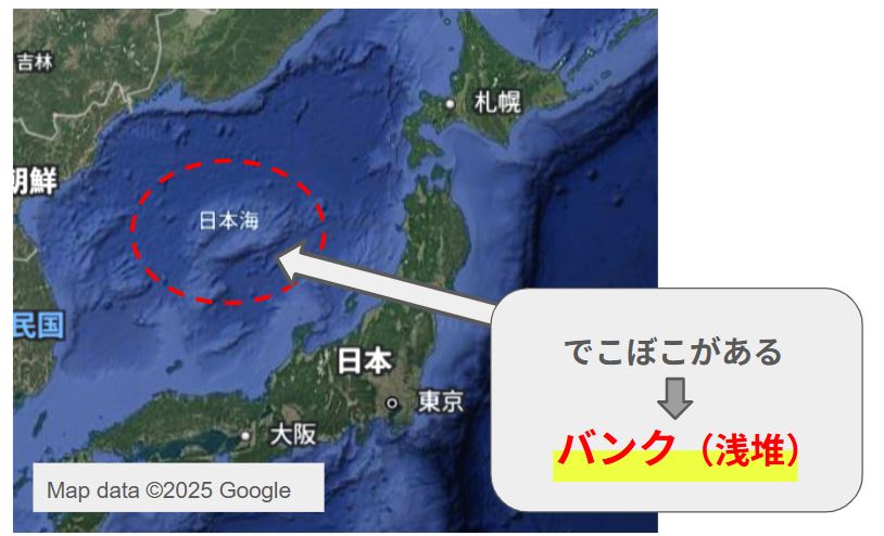 【高校地理】世界と日本の水産業を徹底解説｜主要漁場・漁業統計・養殖業 | 高校地理のYouTube授業動画 〜地理を通して世界を知ろう〜