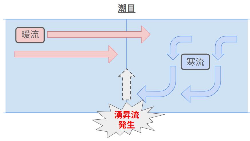 【高校地理】世界と日本の水産業を徹底解説｜主要漁場・漁業統計・養殖業 | 高校地理のYouTube授業動画 〜地理を通して世界を知ろう〜